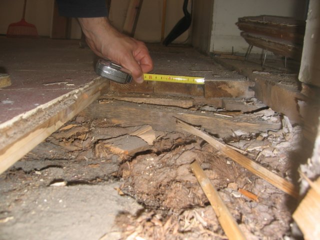 Lähteet, hakemisto ja sanasto.